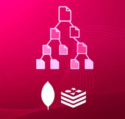 Top Custom Database Development Services In The Usa