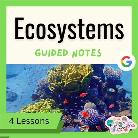 Ecosystems Full Chapter Guided Notes By Corines Classroom Tpt