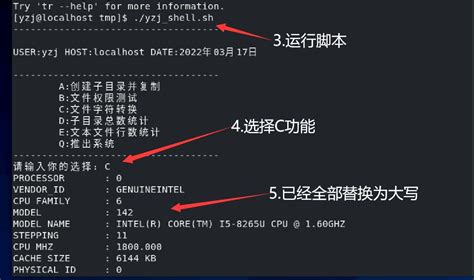 Linux实验二：编写shell脚本输出系统基本信息命令自动获取相关值填入 Csdn博客