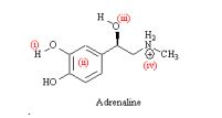 Solved Identify The Binding Interactions That Might Be Chegg Com
