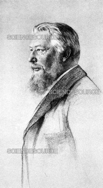 Wilhelm Ostwald German Chemist Stock Image Science Source Images