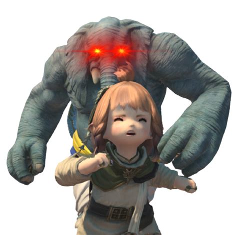 Lalafells Pov When A Npc Follows Them Rffxiv