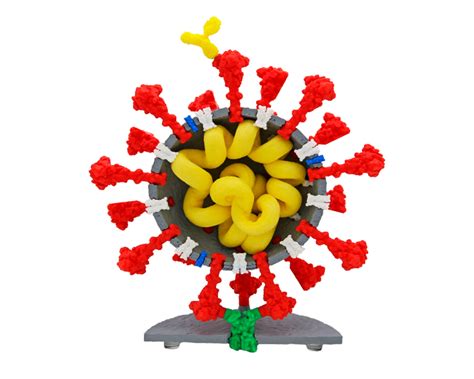 How To Make A Virus Model