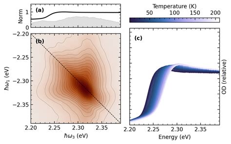 Absorption And Rephasing Absolute Spectra For A Fapbbr3 Ncs Thin