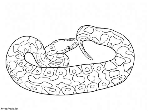 Python Printable Coloring Page