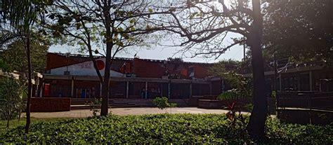 Fada Una Tod♥s Somos Fada