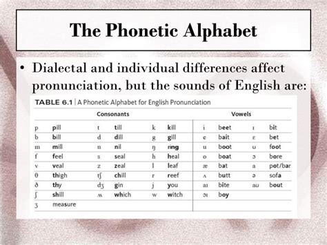 PPT Ch Phonetics The Sounds Of Language PowerPoint Presentation ID