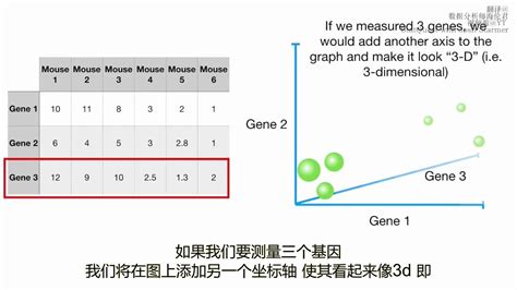 【中字】主成分分析法（pca） 分步步骤解析 看完你就懂了！ 哔哩哔哩 ゜ ゜ つロ 干杯~ bilibili