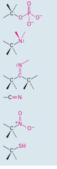 Functional Groups 2 Diagram Quizlet
