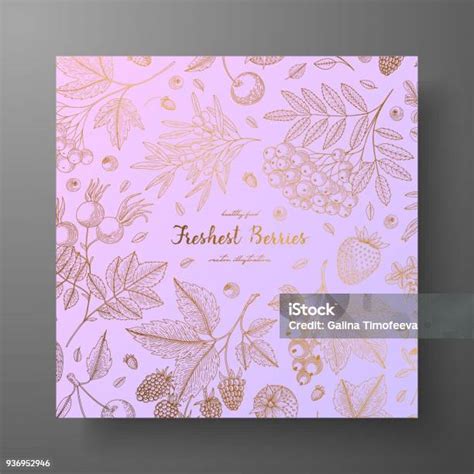 열매와 사각 골든 카드입니다 에코 유기농 식품입니다 빈티지 조각입니다 인사말 카드 포장 종이 화장품 포장 라벨 전단지 광고 프로 모션 메뉴에 대 한 서식 파일을 디자인