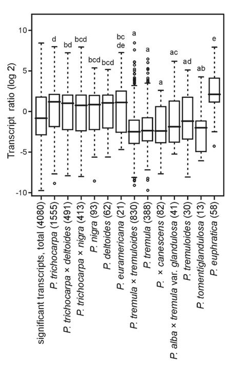 Transcript Ratios Of P Euphratica And P × Canescens Sorted According