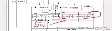 Stm32学习笔记 Usart串口外设(理论部分)usart框图解读 Csdn博客 Stm32学习笔记 Usart串口外设(理论部分)usart框图解读 Csdn博客