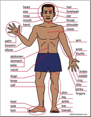 Shafiqah Balqis Upsr Vocabulary