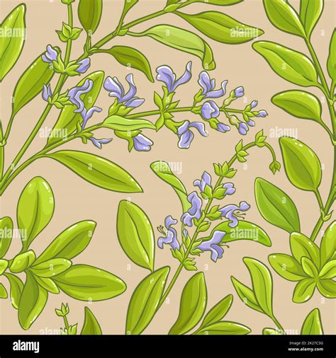 Sage Green Pattern Hi Res Stock Photography And Images Alamy