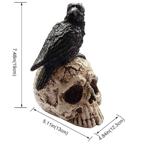 Crow Skeleton Skull