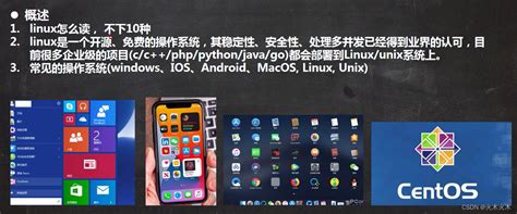 韩顺平linux基础篇 Csdn博客