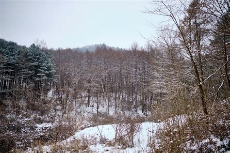 성공회 남양주교회 아침기도 주님 성탄아침 고요히 기도합니다 언젠가 인류 모두가 진리안에서