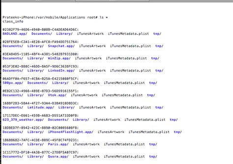 Ios Application Security Part Understanding The Objective C Runtime Infosec
