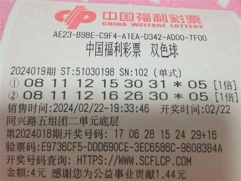 快速入门：新手必备的双色球选号知识 号码 彩票 方法