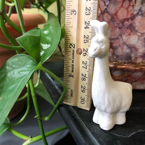 Tiny Llama Alpaca Art