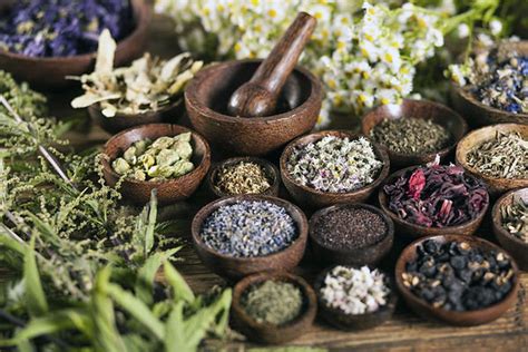 Herbal Training Program | harmonywayhealing