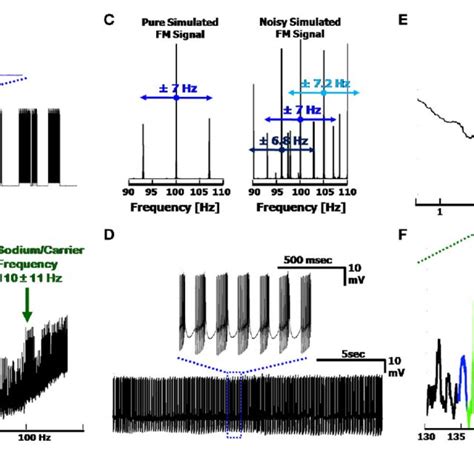 Calcium Frequency Transitions Ab Spectrograms Displaying