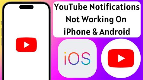 How To Fix Youtube Notifications Not Working On Iphone And Android Solved Youtube