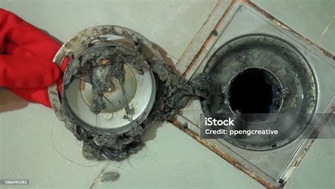 청소를 배수합니다 막히고 더러운 하수도 파이프 바닥 배수구 머리카락과 축적 된 막힌 기름으로 가득합니다 욕실에서 바닥 배수 하수 시스템을 유지 보수 깨끗한 세척을 고정하고