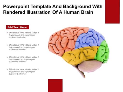 Brain Template For Powerpoint