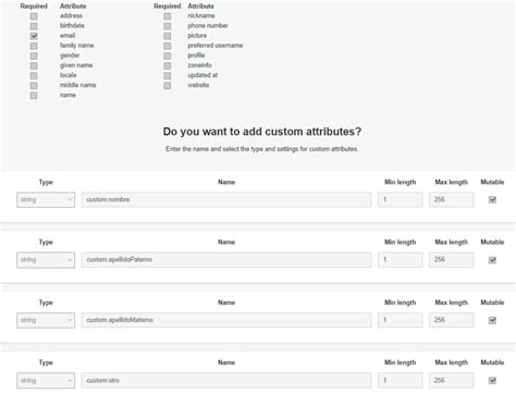using cognito as identity provider in asp rk4
