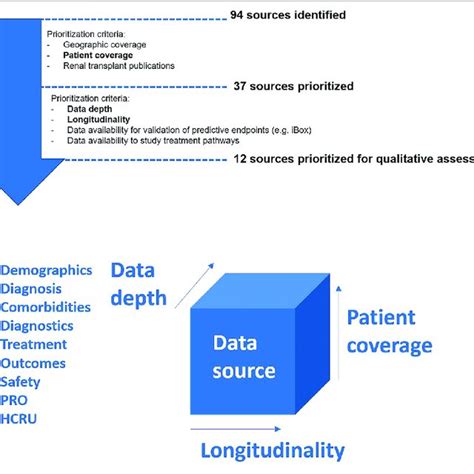 A Data Source Assessment Process Flow Note Bold Terms Refer To