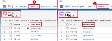 How To Create Junction Object In Salesforce