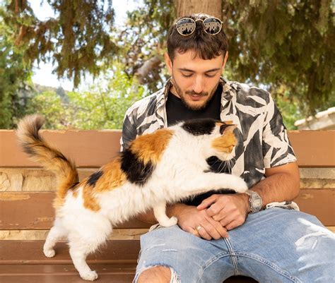 Cat Man Park - Free photo on Pixabay - Pixabay