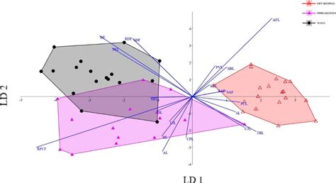 Linear Discriminant Analysis LDA Performed On The Standardized Download Scientific Diagram