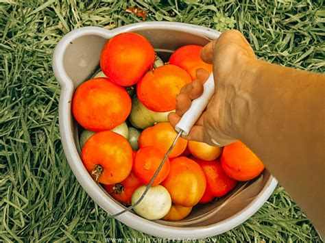 Tomato Processing Instructions Tiff On The Creek Blog