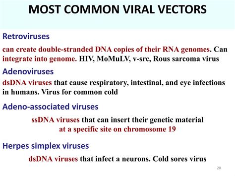 Gene Therapy With Viral And Non Viral Vectorspptx