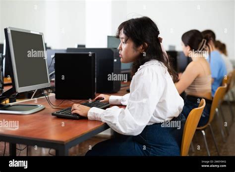 Babegirl Learning Basics Of Programming In Group Course In Computer College Stock Photo Alamy