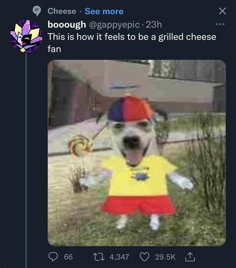 Propeller Hat And Lollipop Dog Know Your Meme