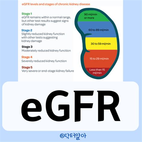 Egfr 사구체여과율 정상수치 높으면 낮으면 증가 감소 증상 관리 네이버 블로그