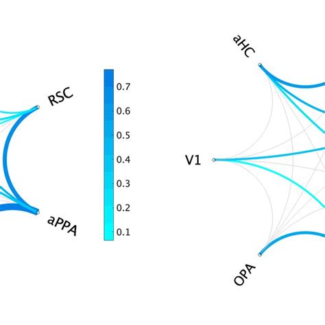 Graphical Representation Of The Resting‐state Functional Connectivity Download Scientific