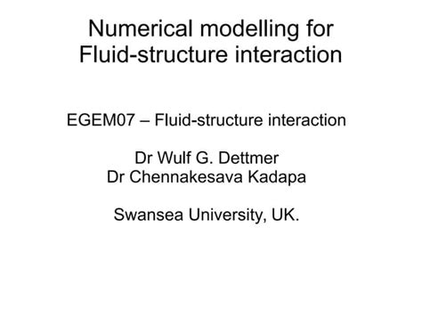 Numerical Modelling For Fluid Structure Interaction Pdf