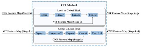 Cit Emotionnet Convolution Interactive Transformer Network For Eeg Emotion Recognition Peerj