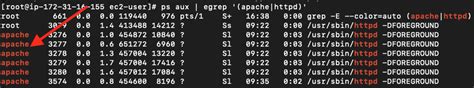 How To Transfer Magento 2 Site From Localhost To Server Mageworx Blog