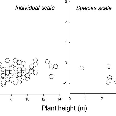 Vertical Patterns In Leaf Trait Diversity At The Small Left And Download Scientific Diagram