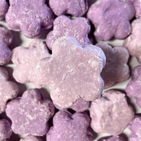 Solid Shampoo Oak And Willow