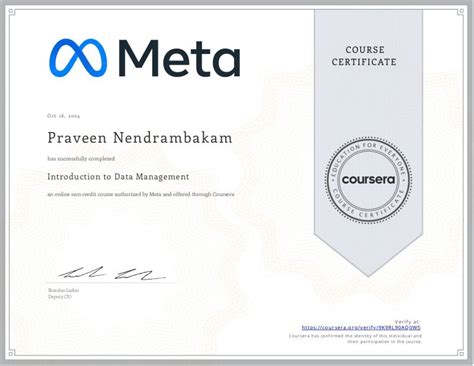 Learning Databasemanagement Careerdevelopment Meta Praveen