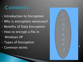 Encryption Ppt PPT