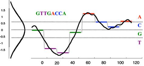 A Real Valued Time Series Being Discretized Into The Sax Word Gttgacca