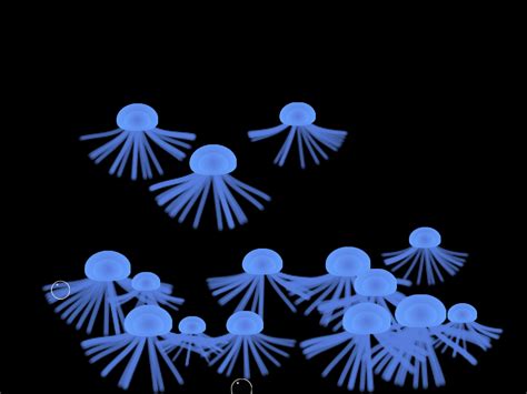 水母 李连睿 侯老师编程网站codinghoucn Scratch编程教程与创作社区