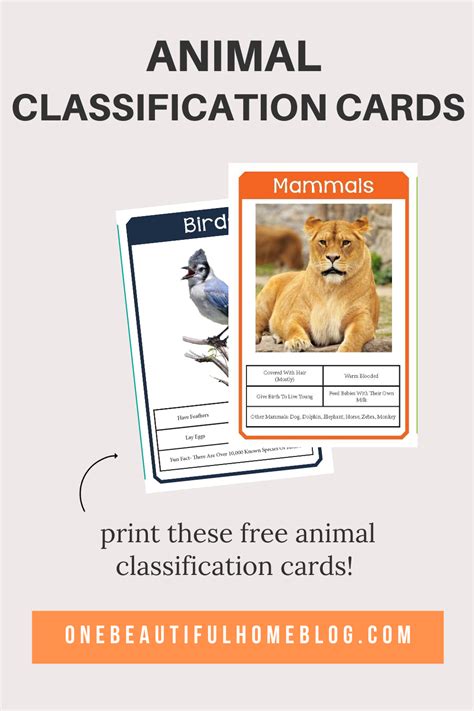Free Printable Animal Classification Cards Free Printable A Z